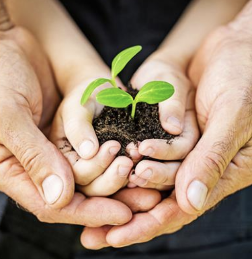 Structured Giving: Growing Your Impact